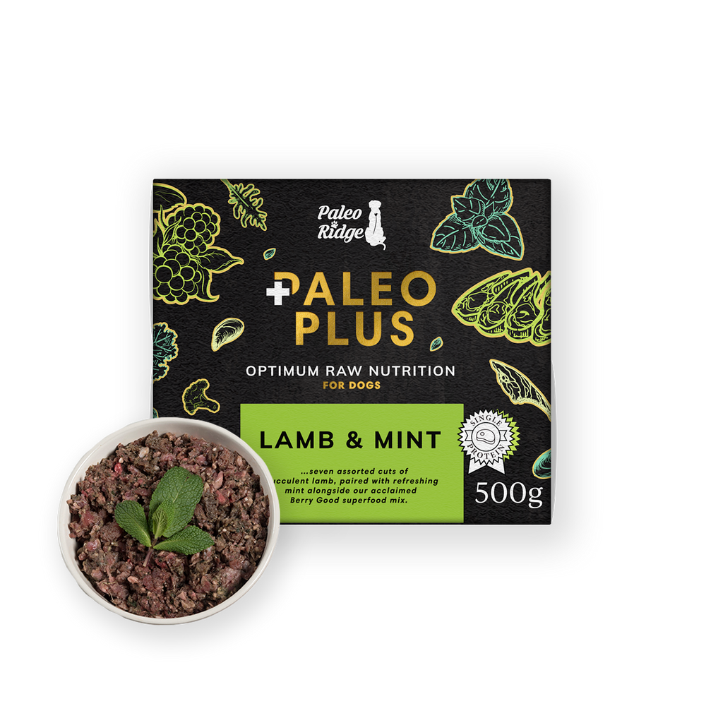 Paleo Ridge | Quality Raw Dog Food | 20% off First Two Orders