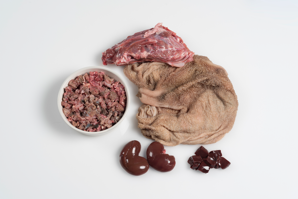 Classic Lamb Tripe and Duck | Raw Dog Food | Paleo Ridge