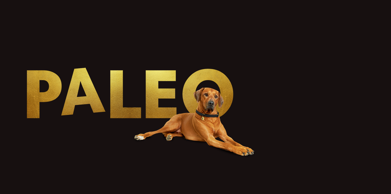 Paleo Ridge | Quality Raw Dog Food | 20% off First Two Orders